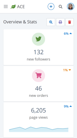 Landing Page 1 - Ace Admin